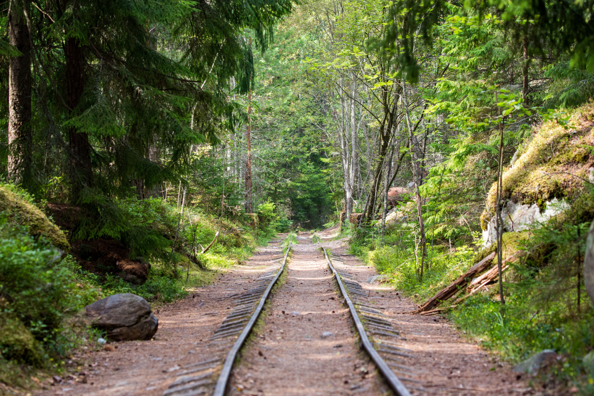 Top 10: Popular Day Trips from Tallinn - Traveller Tours BlogTraveller ...