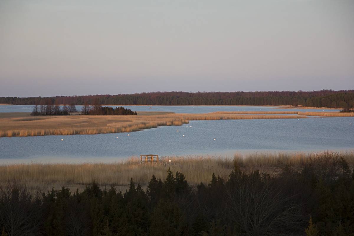 Magical Day Trip to Hiiumaa Island | Tallinn Day Trips